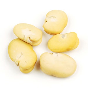 Whole Peeled Fava Beans - Bulk Sizes- Habas Beans - Gluten Free Dried ...