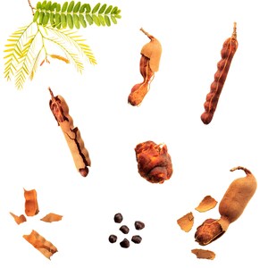 Dried Tamarind Pods | Tamarindo Whole | Natural Mexican Tamarind Fruit ...