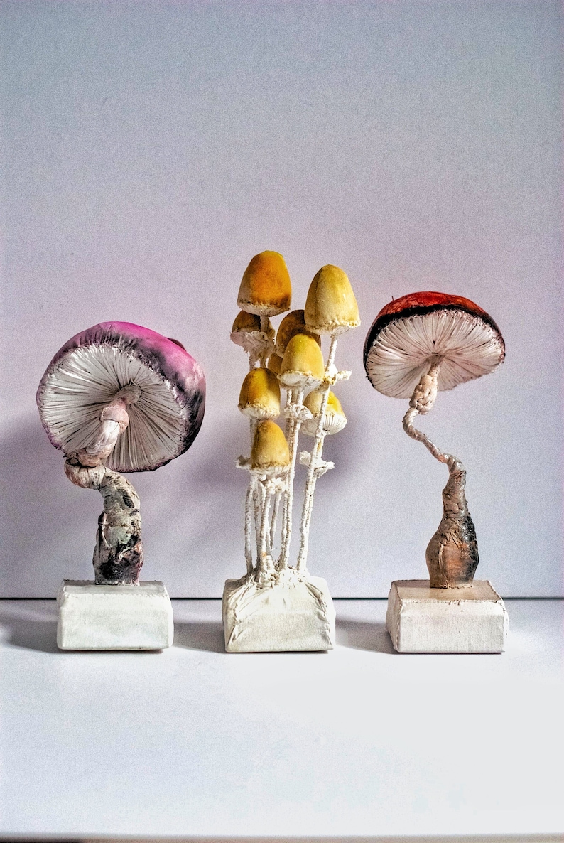 Mushroom textil art insect Soft sculpturhome decor unique | Etsy