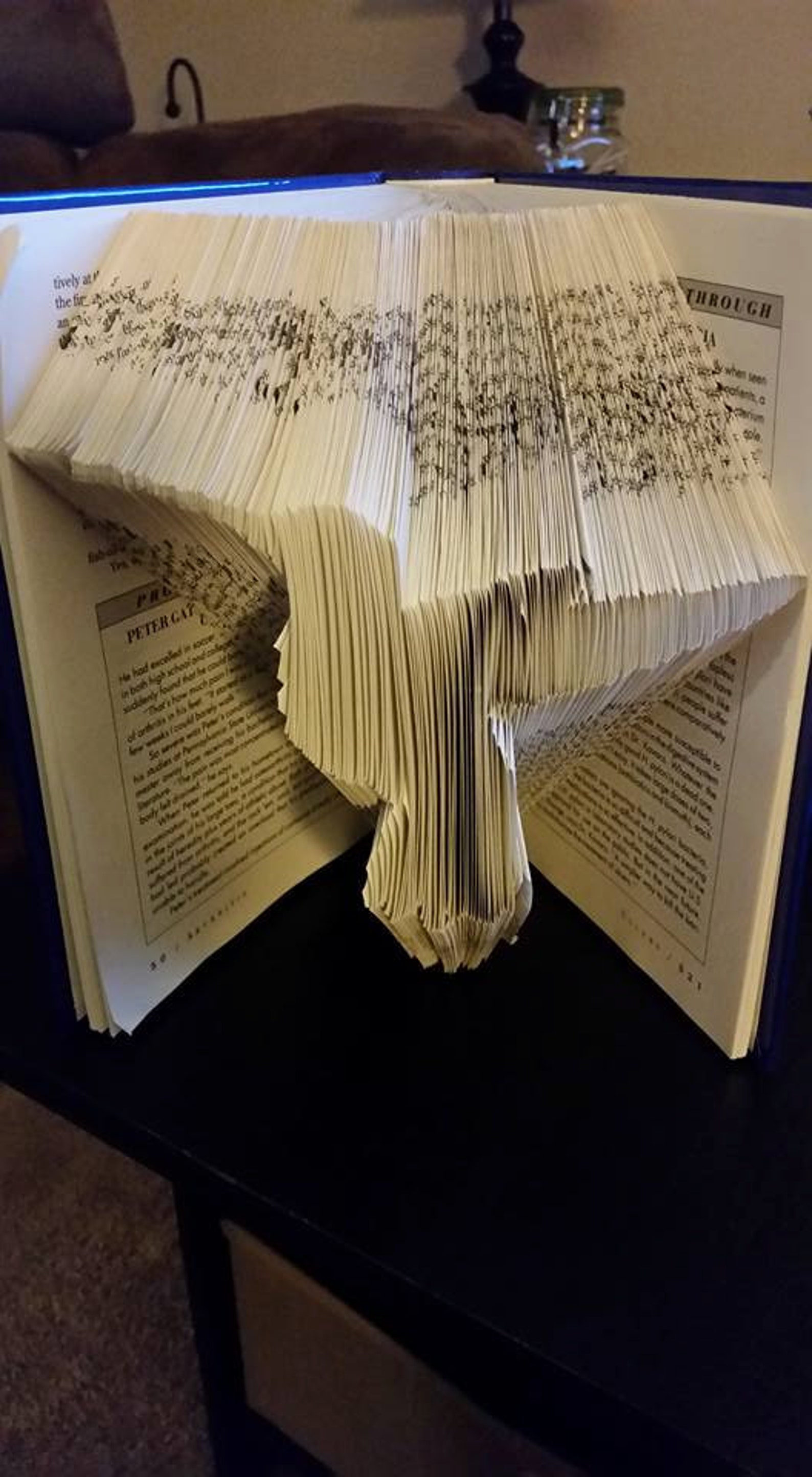 Hummingbird Bird Folded Book Art Pattern Instant download | Etsy