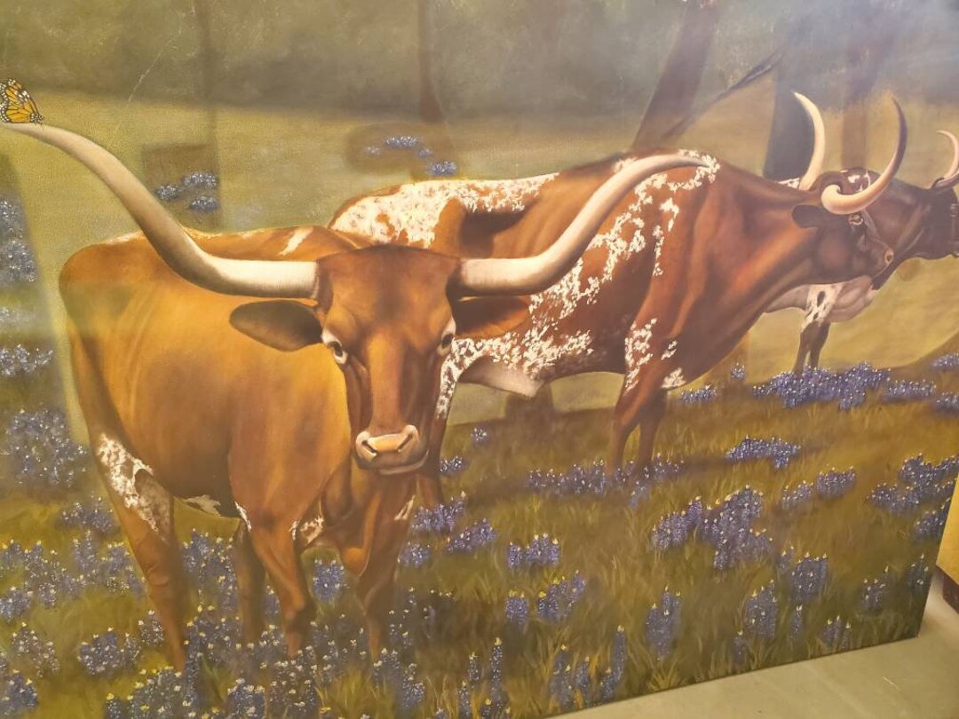 Texas Longhorn Painting Original Art by Piccione 60x48 Inch H - Etsy