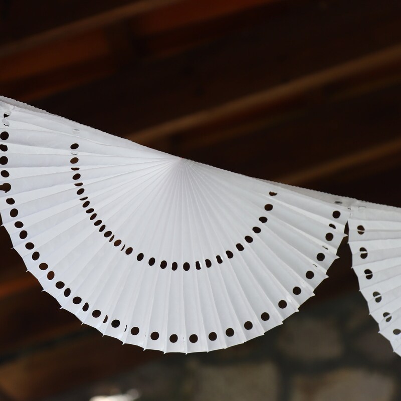 Tissue Paper Fan - Etsy