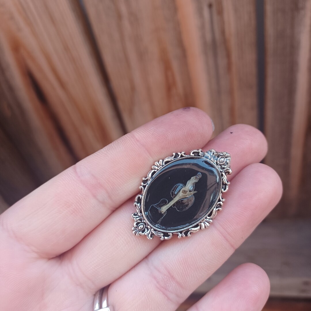 B GRADE Real Rodent Bone Rings - Etsy