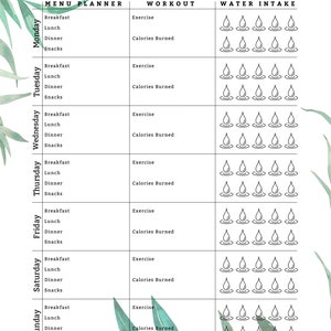 Health Habit Tracker, Water Tracker, Exercise, Menu Planning, PDF ...