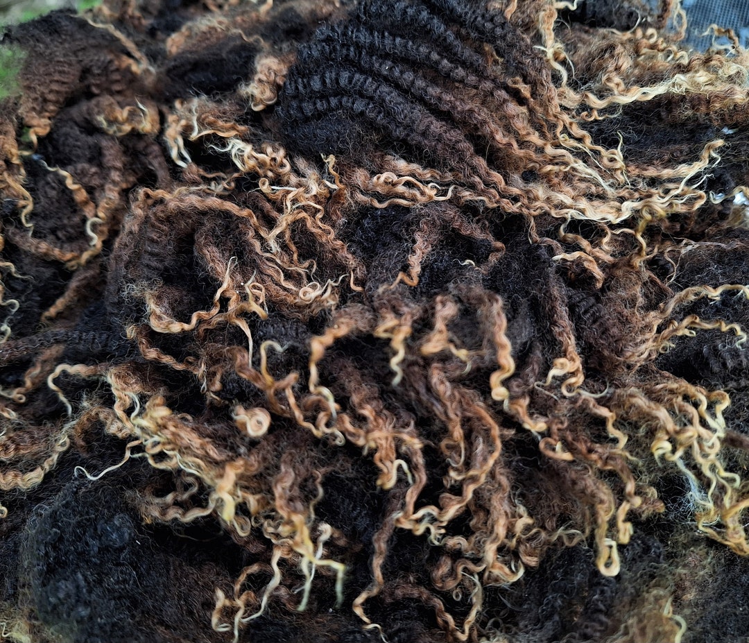 Natural Black Sheep Locks 6 Oz / 170 Grams Wool Locks - Etsy
