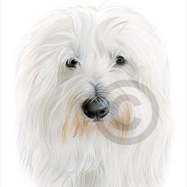 Sheepdog Drawing - Etsy