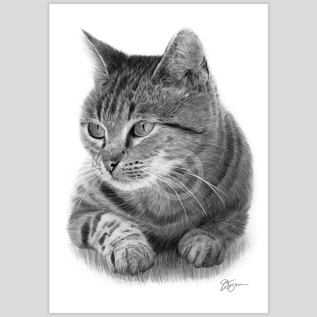 Tabby Cat Artwork Signed by Artist Gary Tymon | Pencil Drawing Print ...