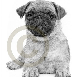 Pug 1 Unique Whimsical Paper Mache Dog Sculpture Custom - Etsy Canada