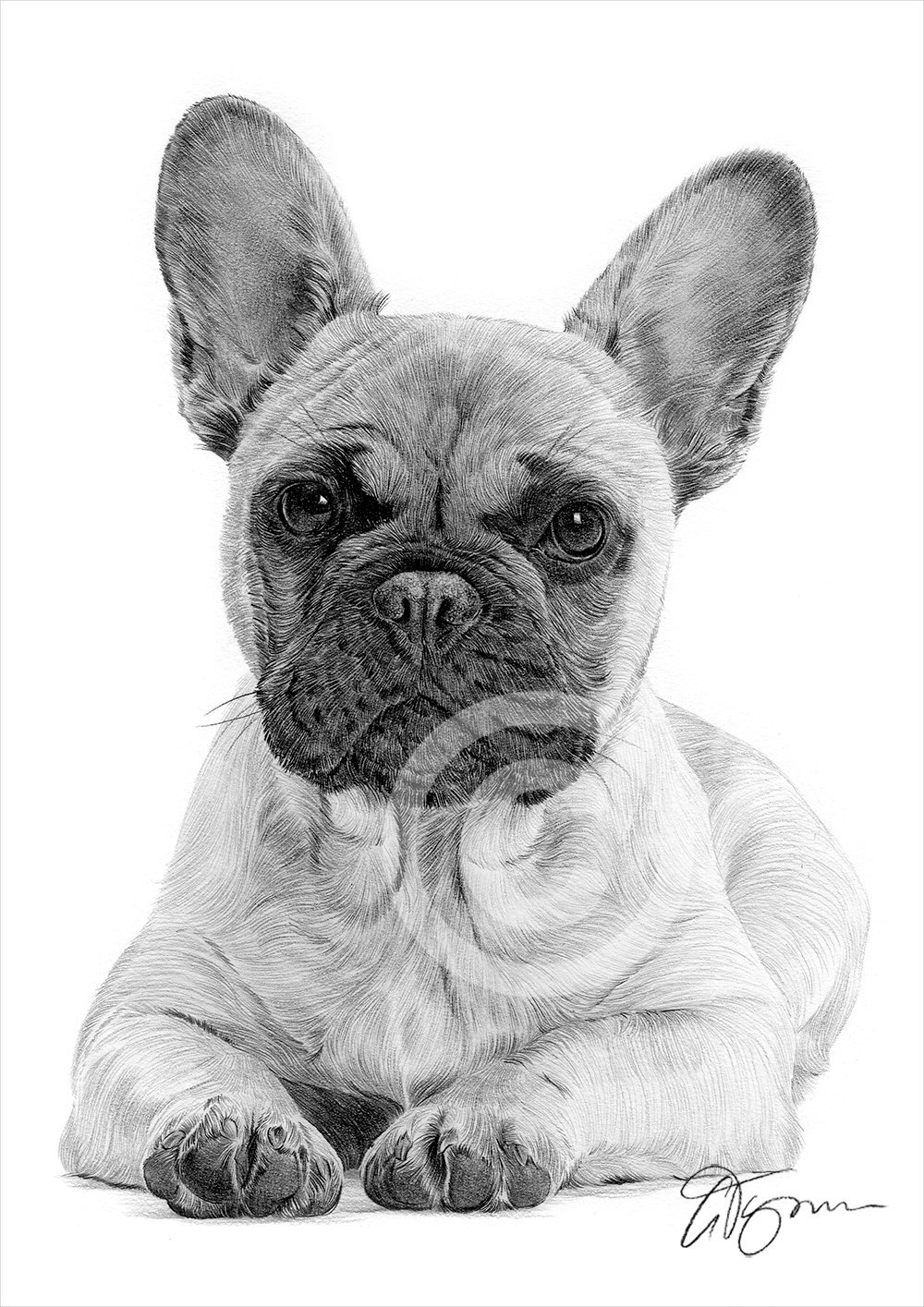 French Bulldog Artwork Pencil Drawing Print Animal Art | Etsy UK