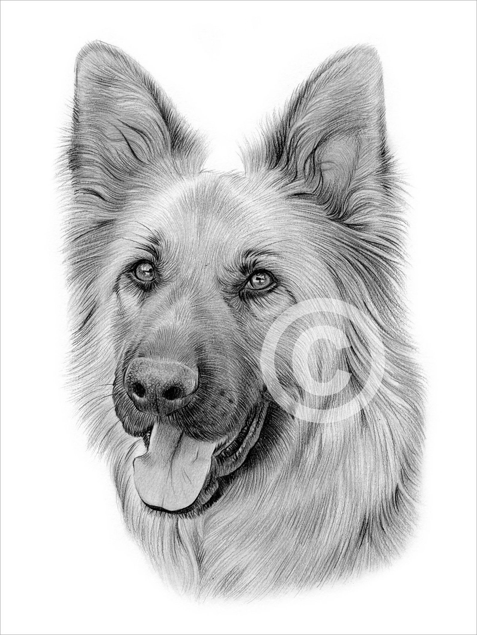 Digital Download Pencil Drawing of a German Shepherd Artwork by UK ... Digital Download Pencil Drawing of a German Shepherd Artwork by UK ...