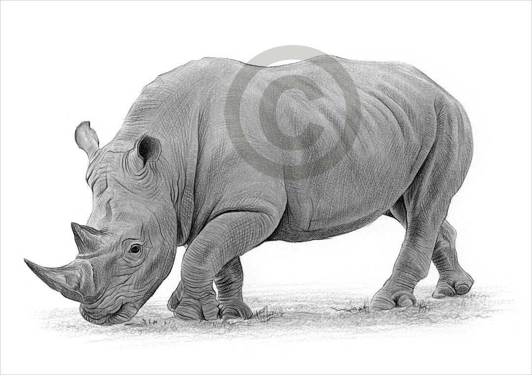Digital Download Pencil Drawing of a Rhino Artwork by UK Artist Gary ...