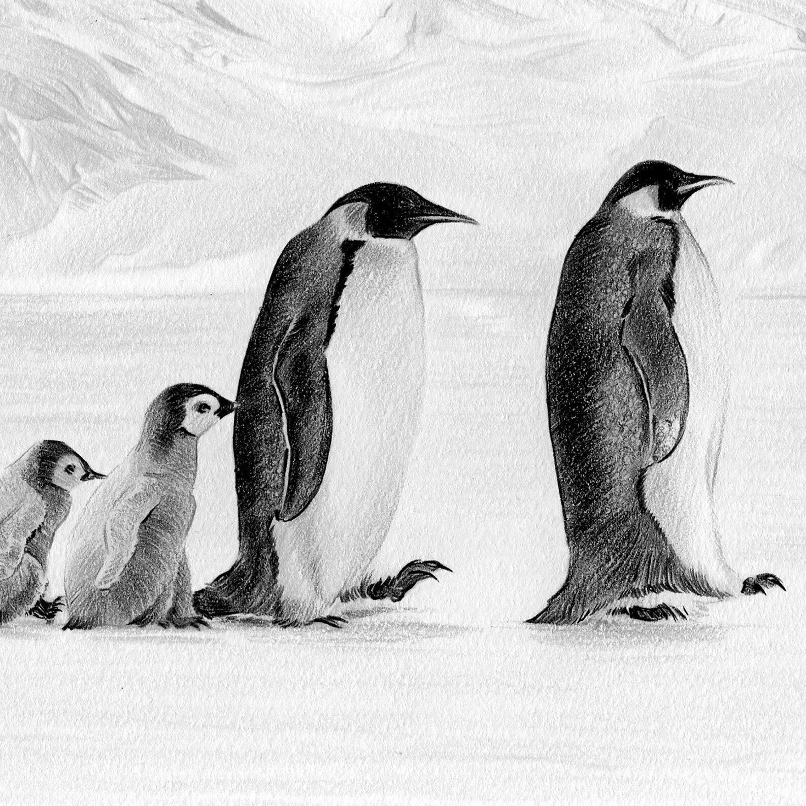 Penguins in Antarctica Artwork Signed by Artist G Tymon | Pencil ...