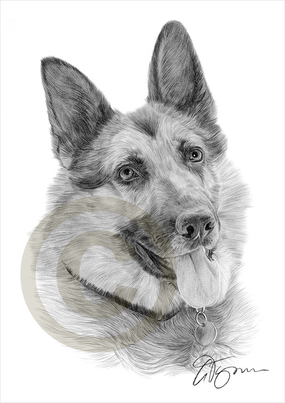 Dog Alsation German Shepherd Pencil Drawing Print A4 Size Artwork ...