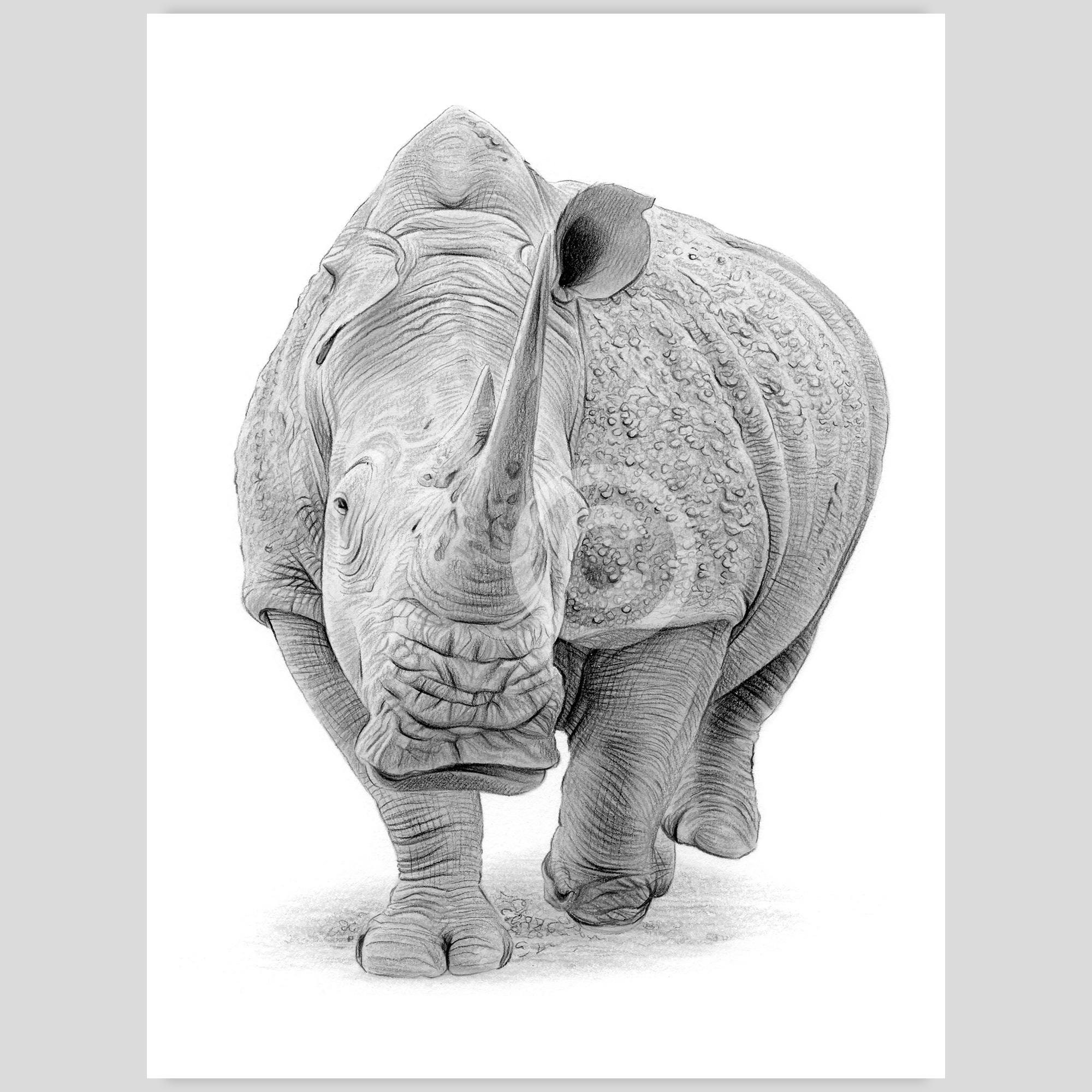 Rhino Watercolor Sketch – Wildlife Portrait Art (digital Download) - Etsy