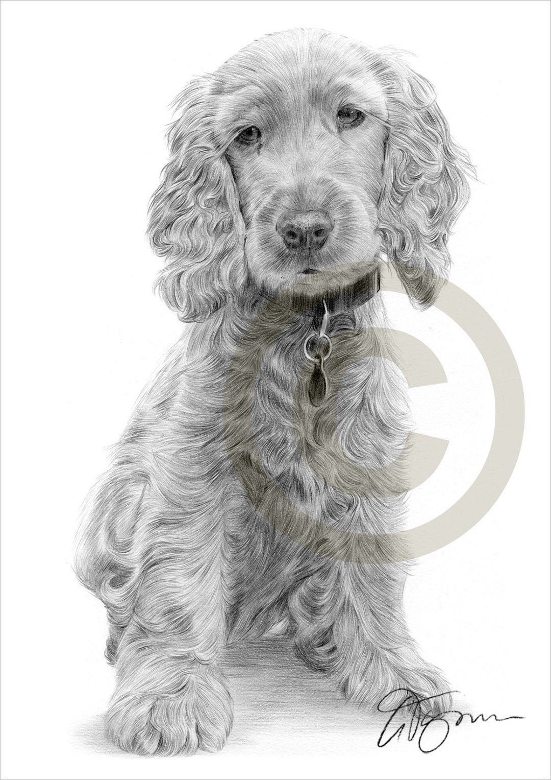 Cocker Spaniel Puppy Pencil Drawing Print Artwork Signed by Artist Gary ...