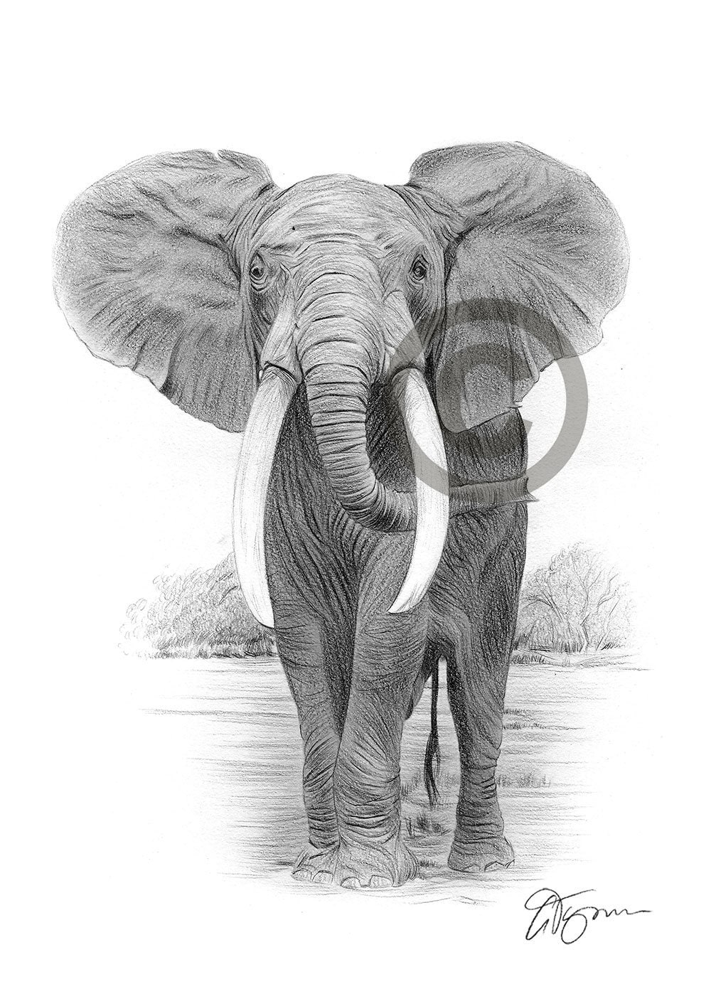 Cool Drawings Of Elephants