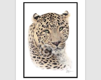 Leopard Color Pencil Drawing - Etsy