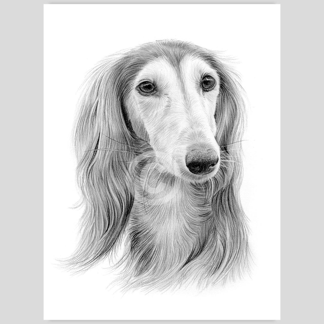 Saluki Dog Artwork by UK Artist Gary Tymon | Instant Digital Download ...