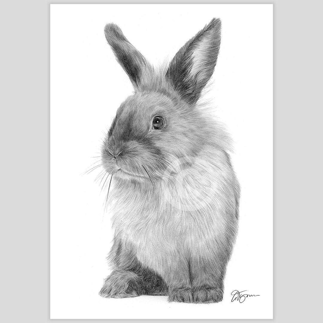 Bunny Rabbit Artwork Signed by Artist Gary Tymon | Pencil Drawing Print ...