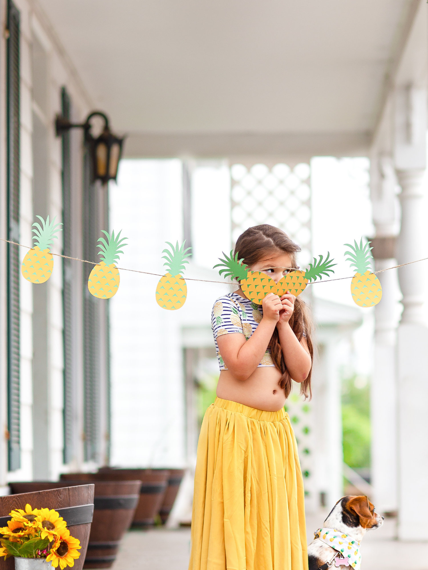 Pineapple Banner Tropical Party Banner Tutti Fruity Party | Etsy