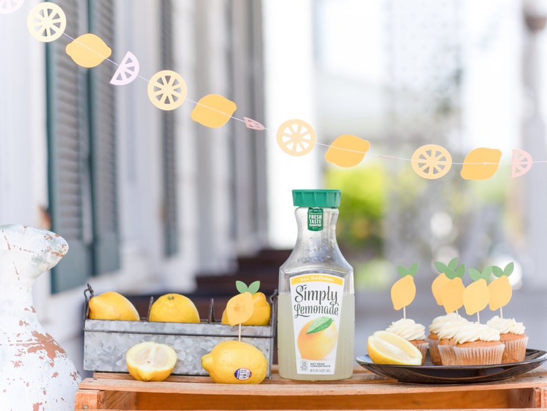 Lemon Garland Lemonade Banner Lemonade Party Decor Lemon - Etsy