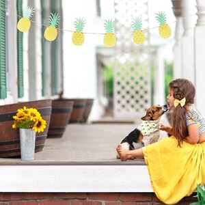 Pineapple Banner, Tropical Party Banner, Tutti Fruity Party Decor, Luau ...