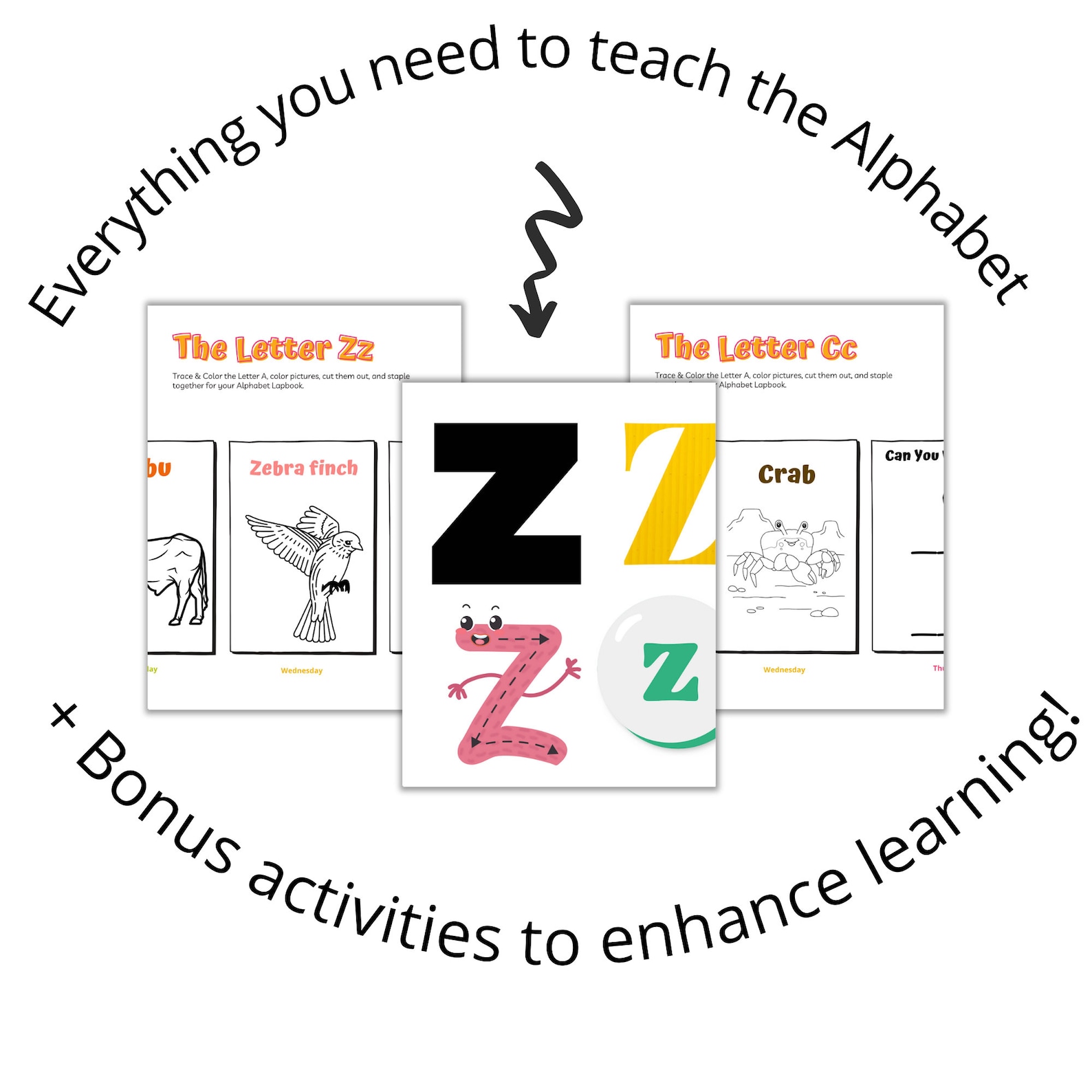 Alphabet & Animal Lapbook Printable Pack - Etsy