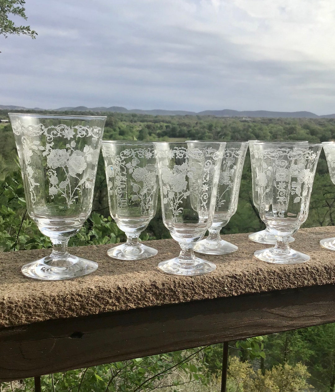 Fostoria Meadow Rose Juice Sherbet Glasses, Etched Crystal Glasses - Etsy