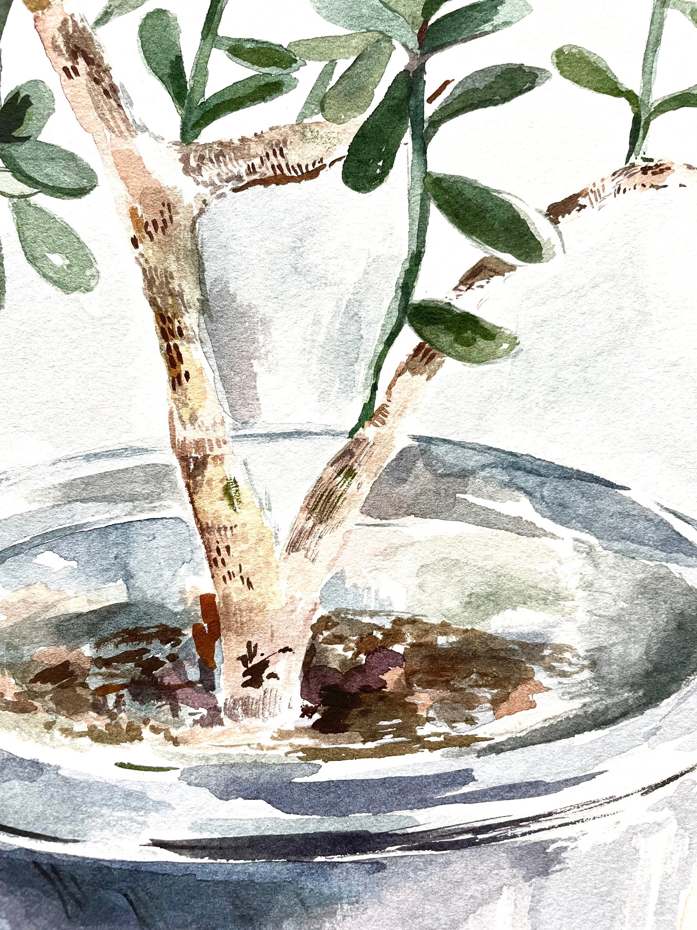 Jade Plant - Plant Watercolor - Original Wall Art - Jade Plant Wall Art ...