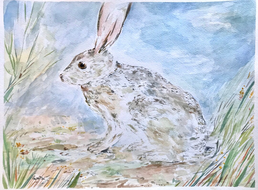 Rabbit Art Original Jackrabbit Art Rabbit Decor Rabbit Watercolor ...