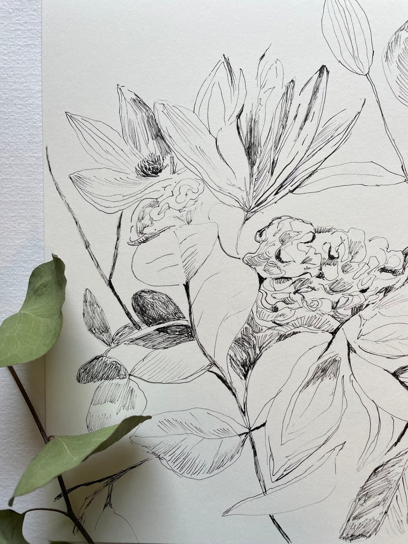 Ink Drawing Original Drawing Botanical Art Flower Drawing Micron Pen ...