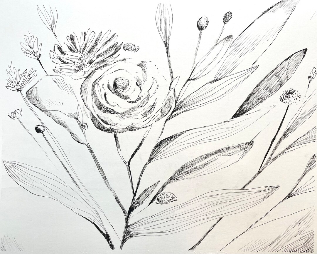 Original Drawing - Ink Drawing - Botanical Drawing - Micron Pen Drawing ...