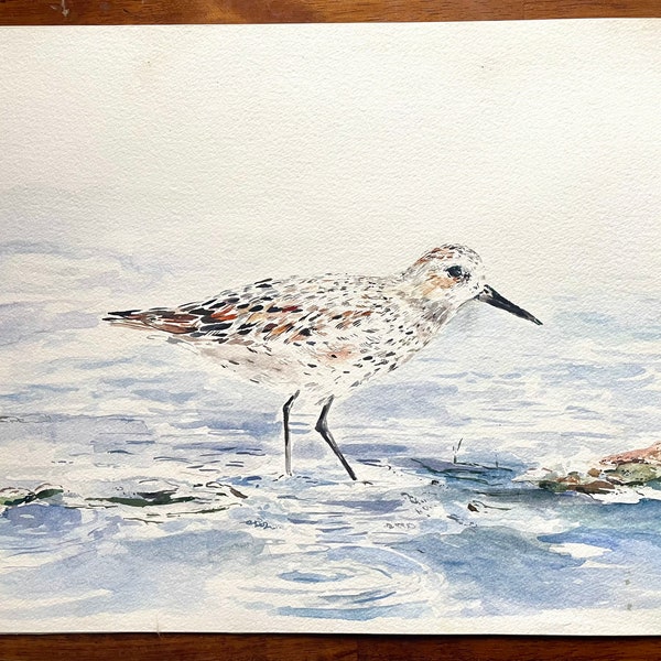 Sandpiper Watercolor - Etsy