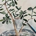Jade Plant - Plant Watercolor - Original Wall Art - Jade Plant Wall Art ...