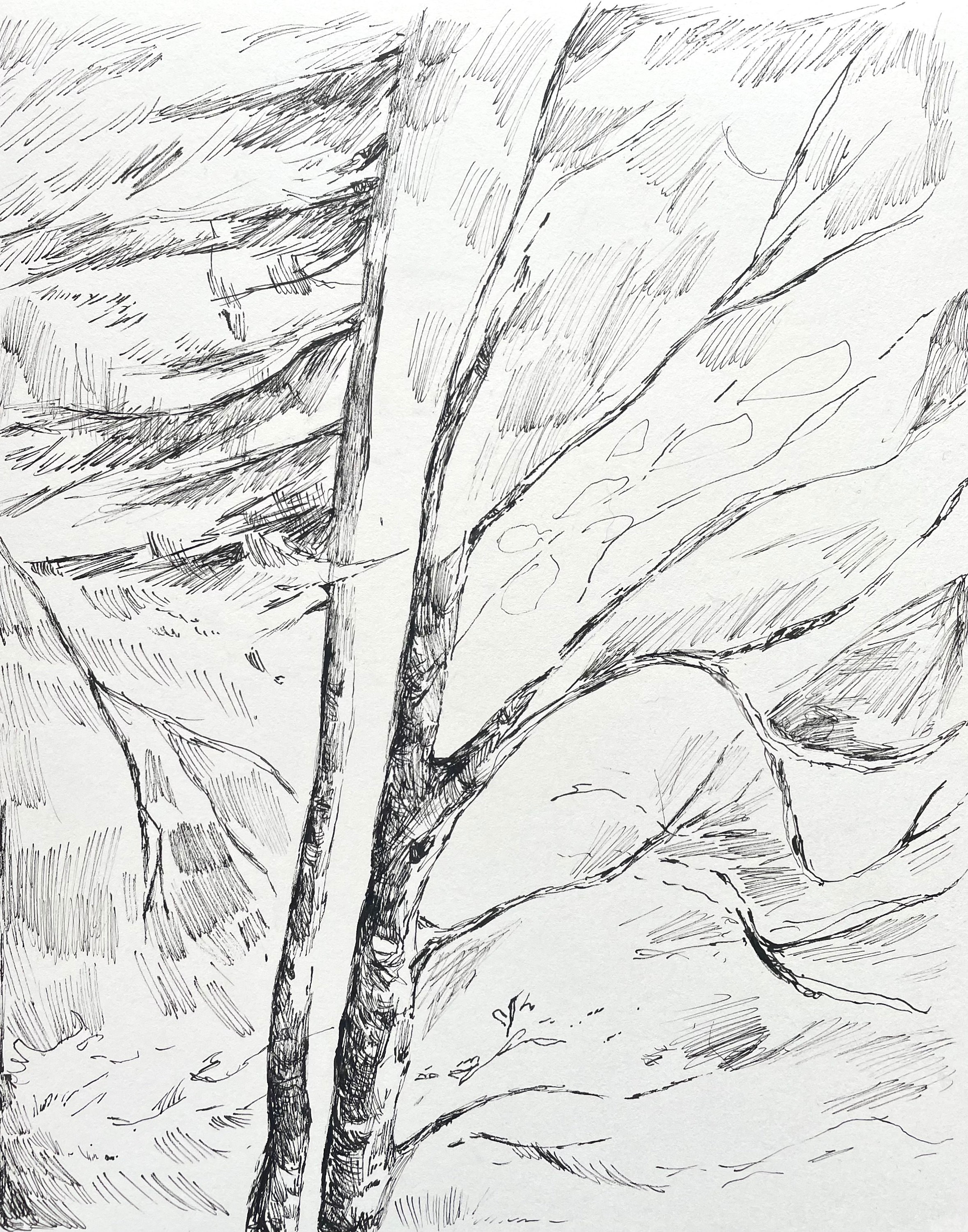 Tree Landscape Drawing Ink Drawing Ink Landscape Art Original Drawing ...