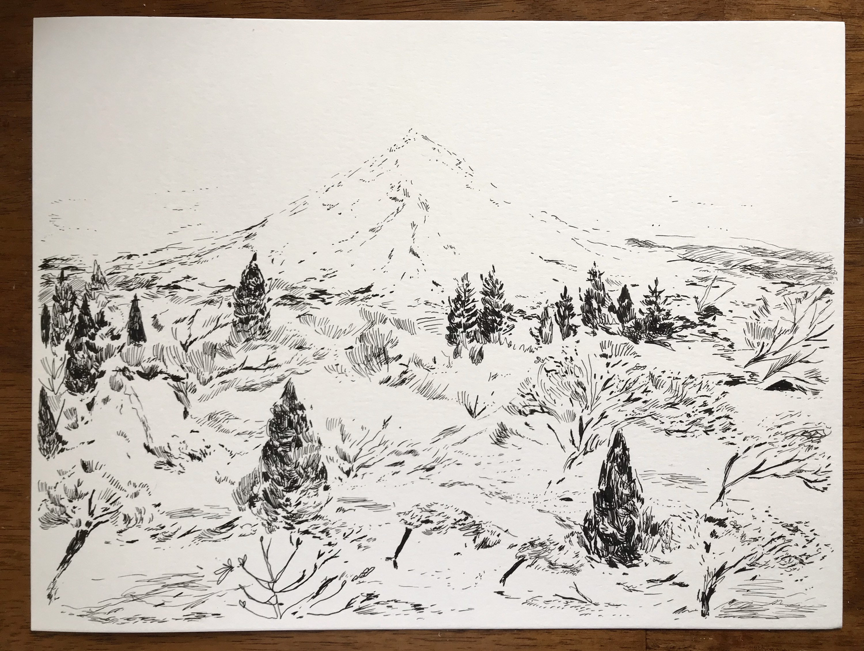 Mount Hood Drawing Ink Landscape Drawing Original Drawing Plein Air ...