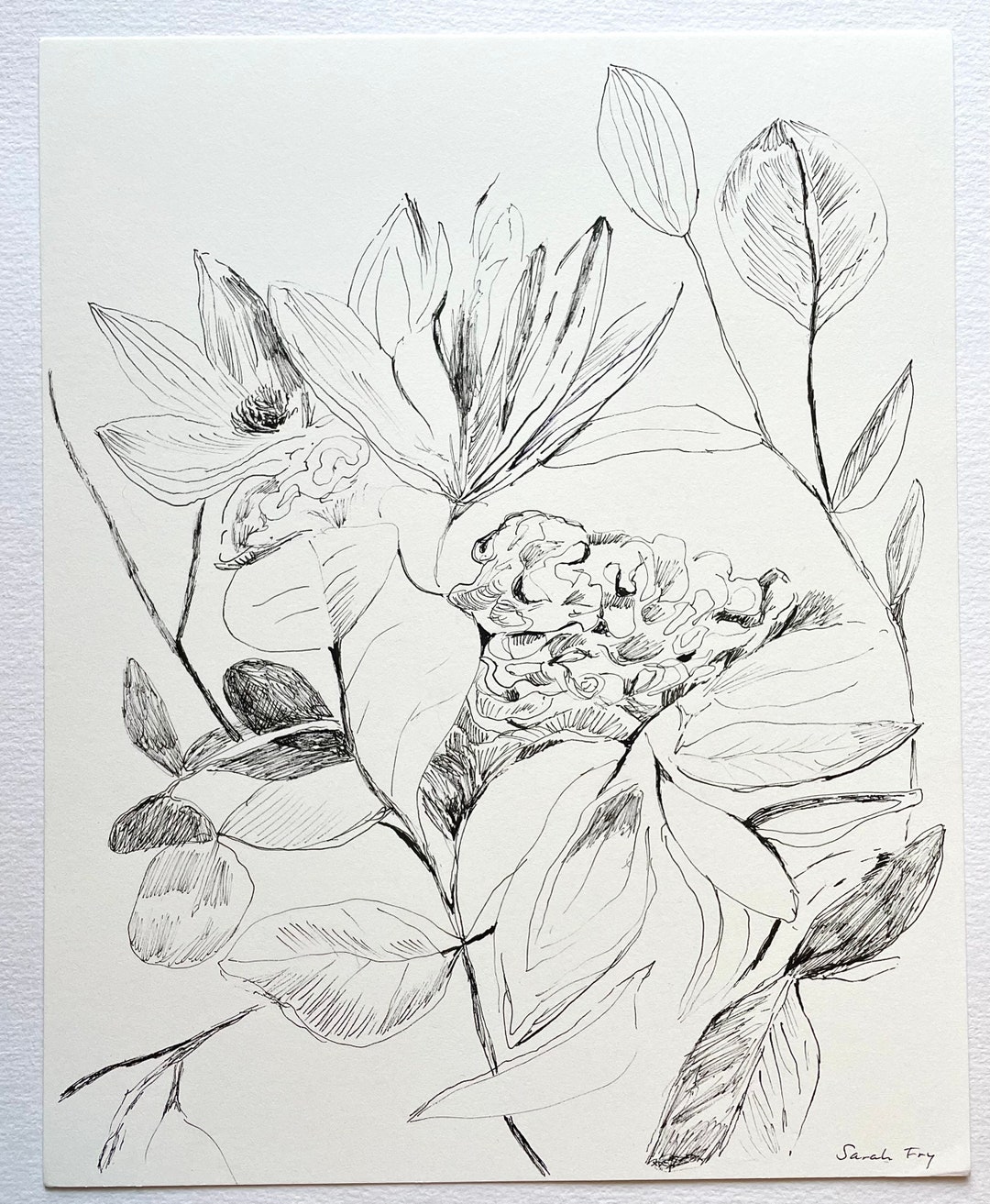 Ink Drawing - Original Drawing - Botanical Art - Flower Drawing ...