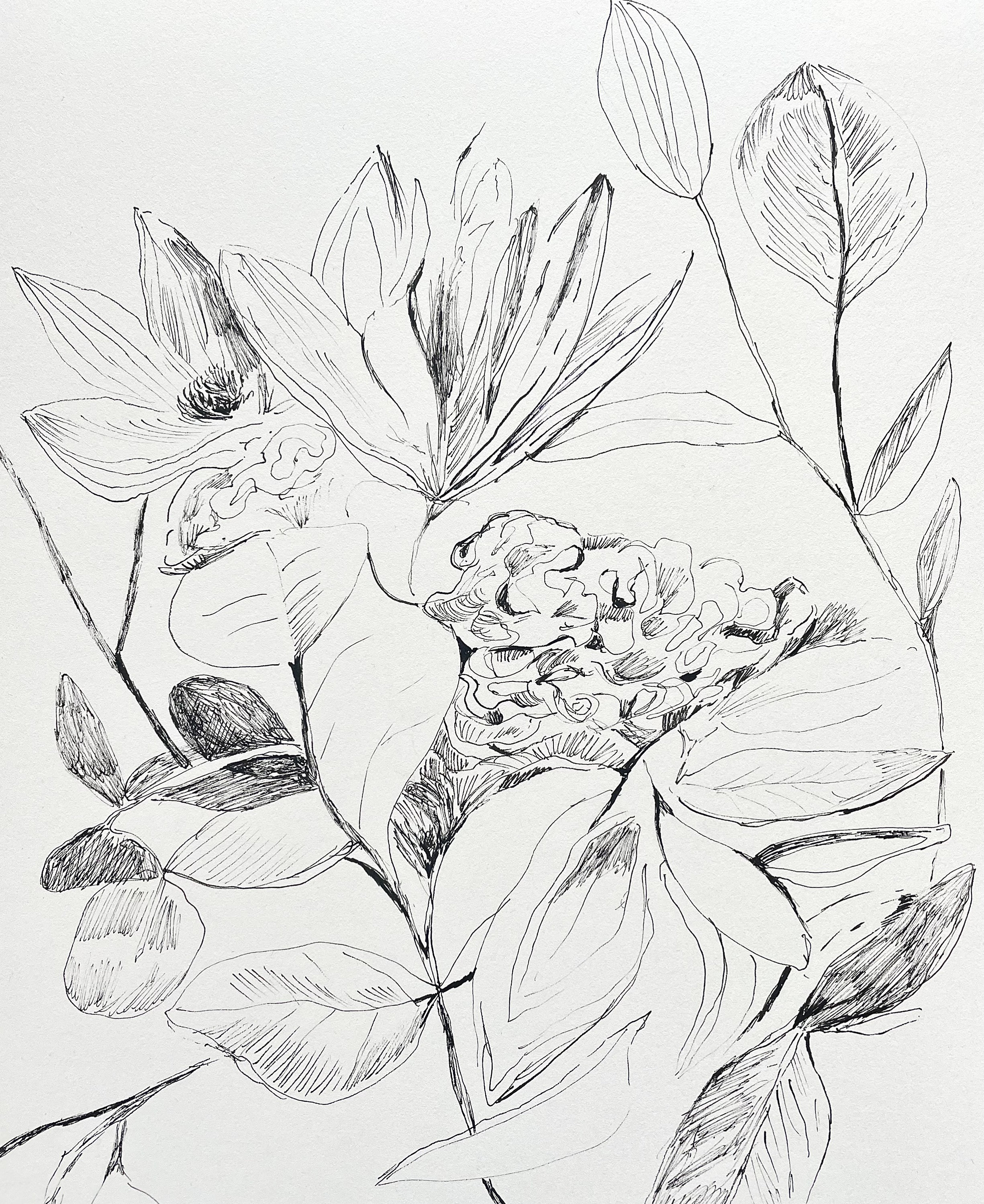 Ink Drawing Original Drawing Botanical Art Flower Drawing Micron Pen ...