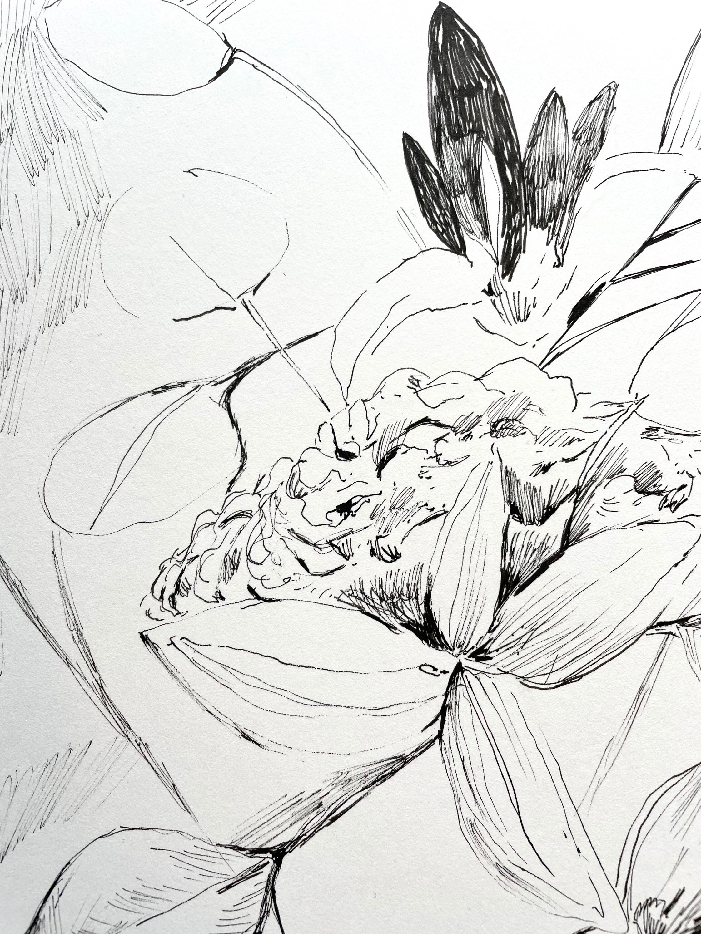 Ink Drawing Original Ink Art Botanical Ink Art Black and - Etsy