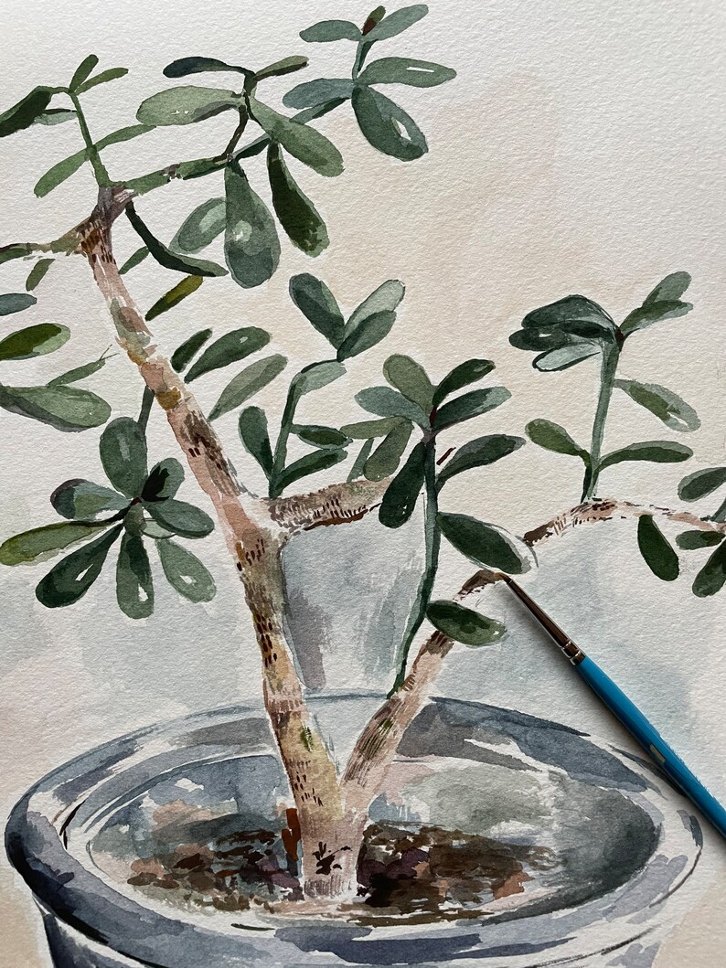 Jade Plant - Plant Watercolor - Original Wall Art - Jade Plant Wall Art ...