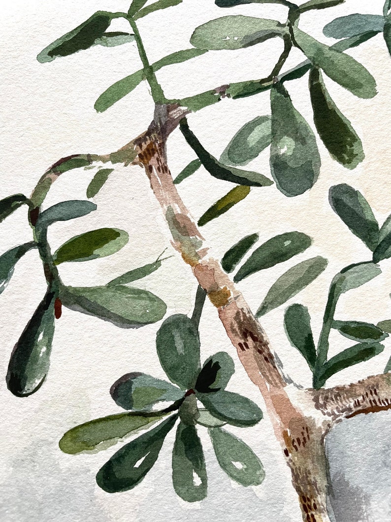 Jade Plant - Plant Watercolor - Original Wall Art - Jade Plant Wall Art ...
