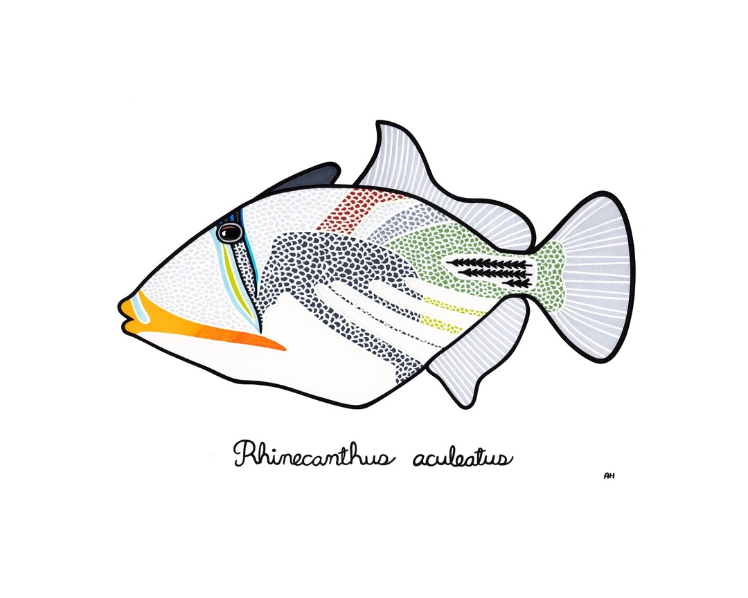 Triggerfish Print - Hawaii Print - Fish Art - Ocean Decor - Coral Reef ...