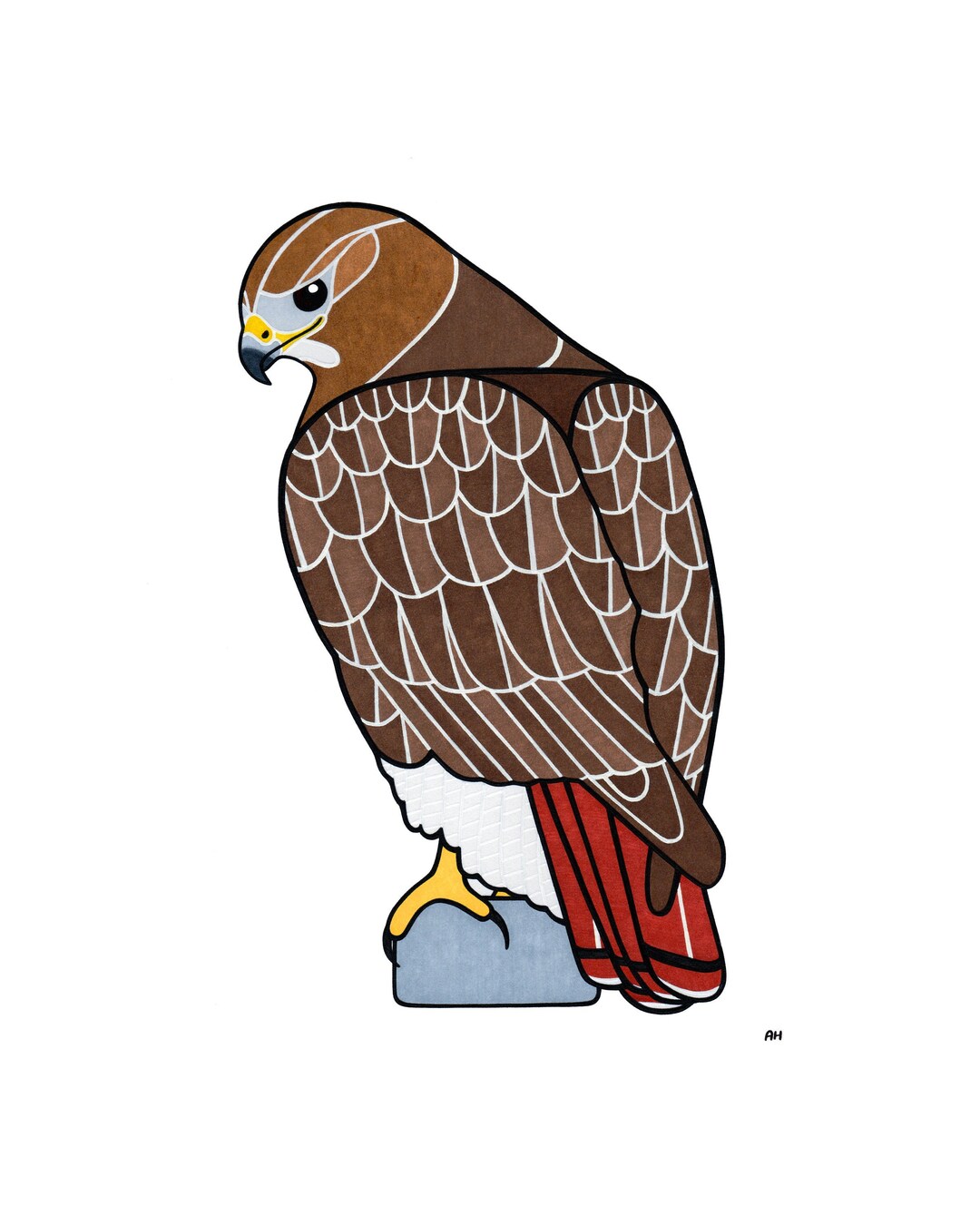 Red Tailed Hawk Print - Home Decor - Cute - Bird Art - Nursery - Gift ...