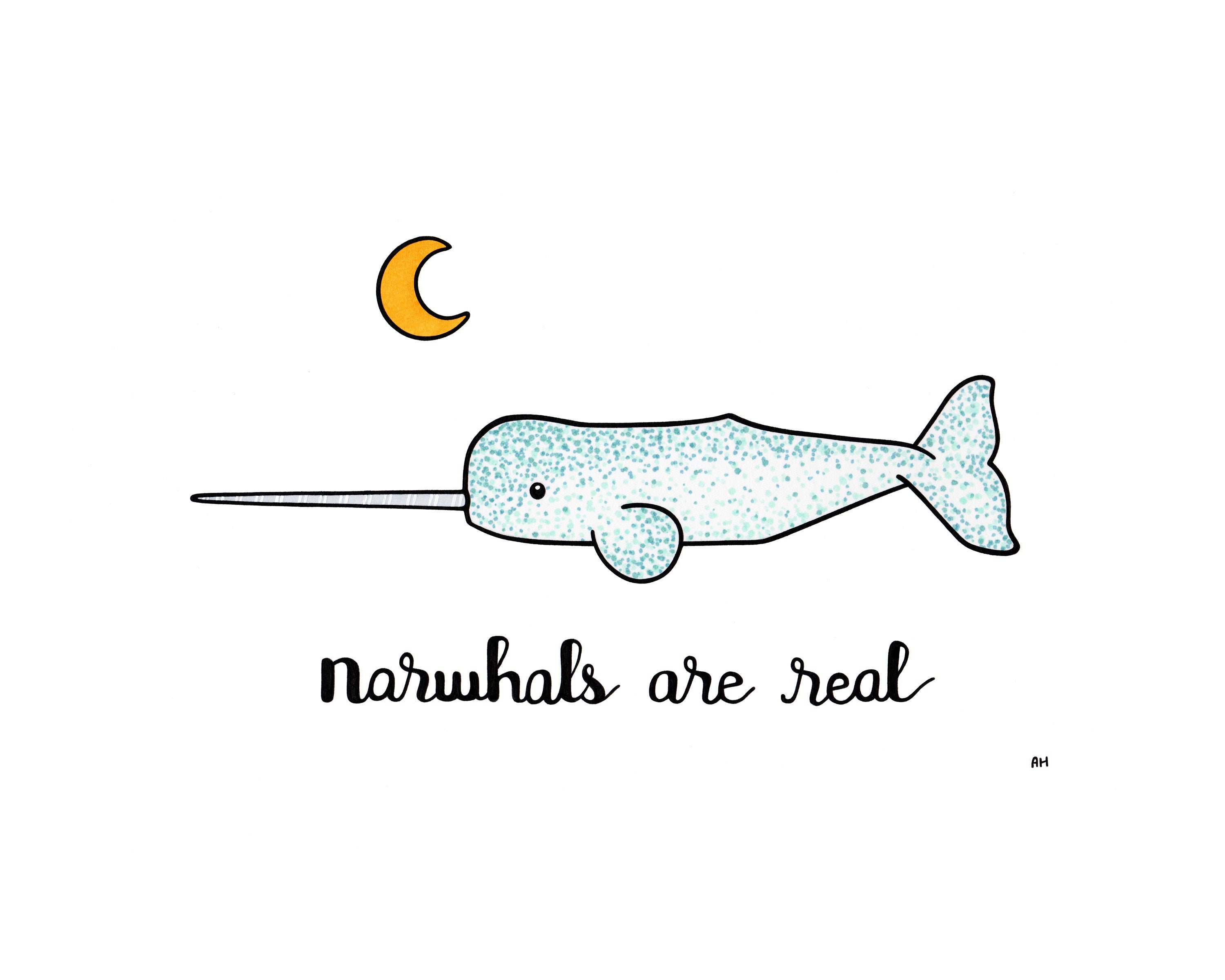 Are Narwhals Real