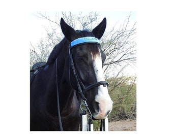 Browband - Etsy