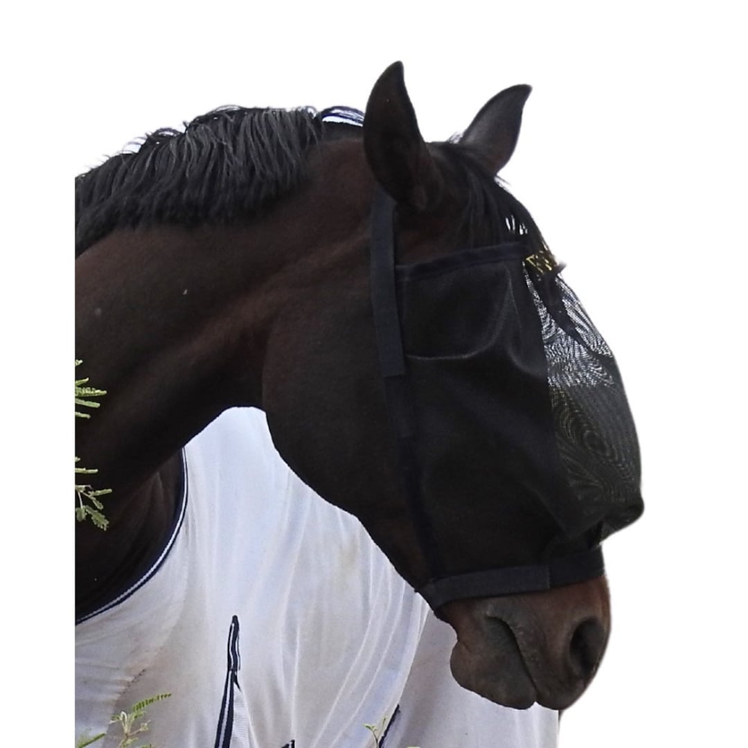 HORSE EYE Cover Protection Black Eye Fly Cover for Horse and Donkey ...