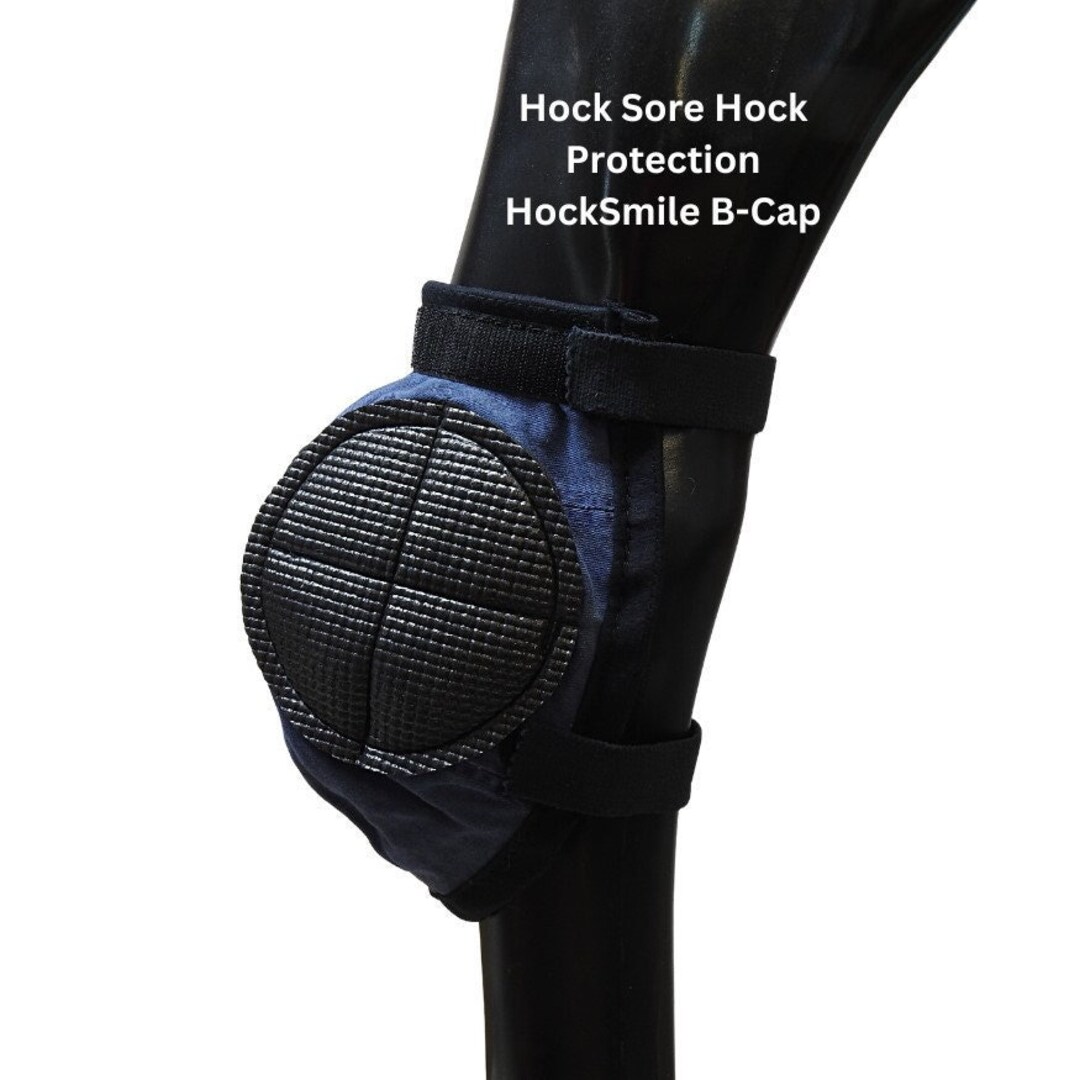 MINOR HOCK WOUND Hock Protection for Minor Hock Sore Hock Wraps ...