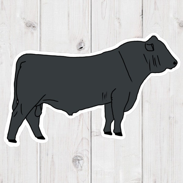 Angus Bull Svg - Etsy