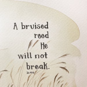 A Bruised Reed Giclee Watercolor Print Scripture Encouragement Sympathy ...