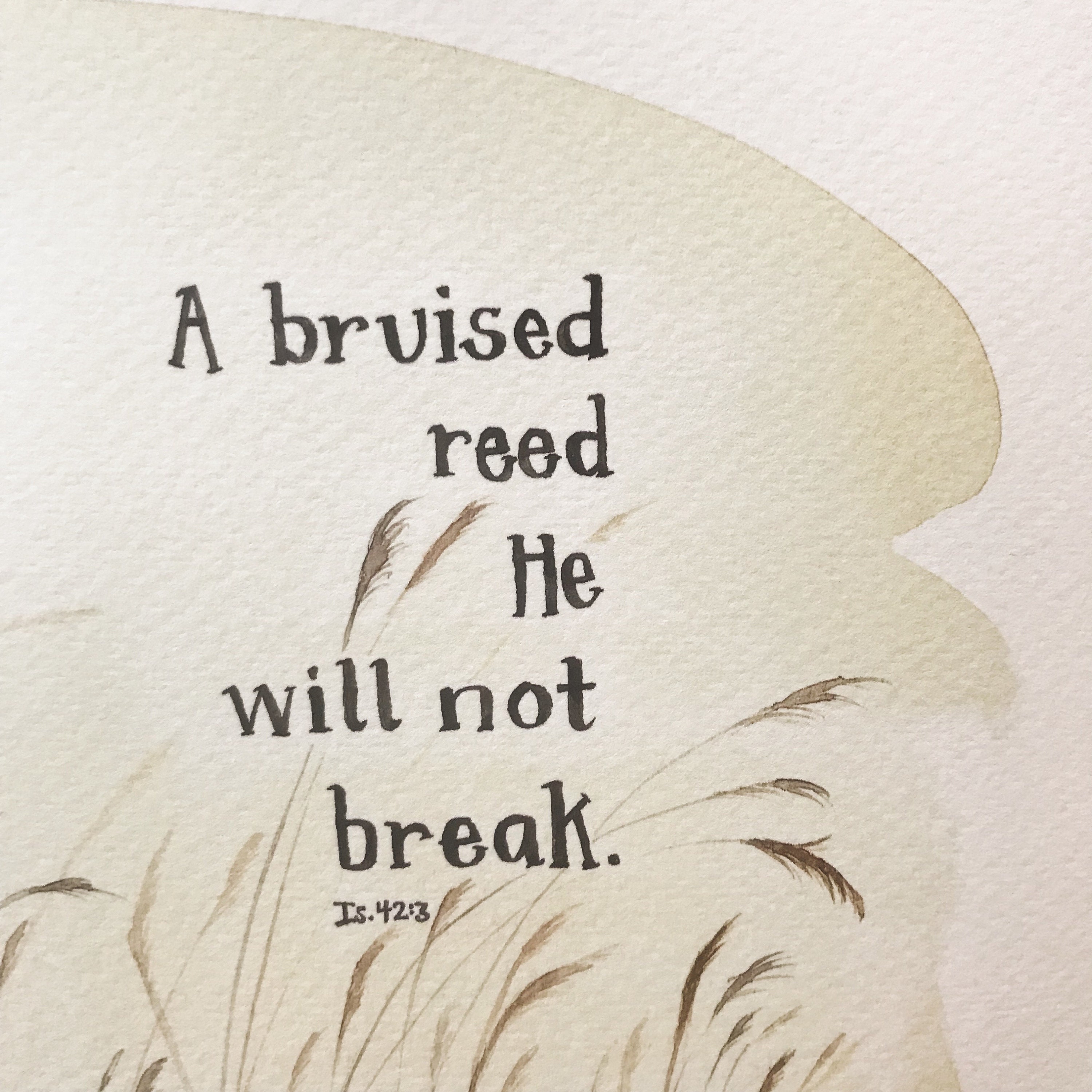 A Bruised Reed Giclee Watercolor Print Scripture Encouragement Sympathy ...